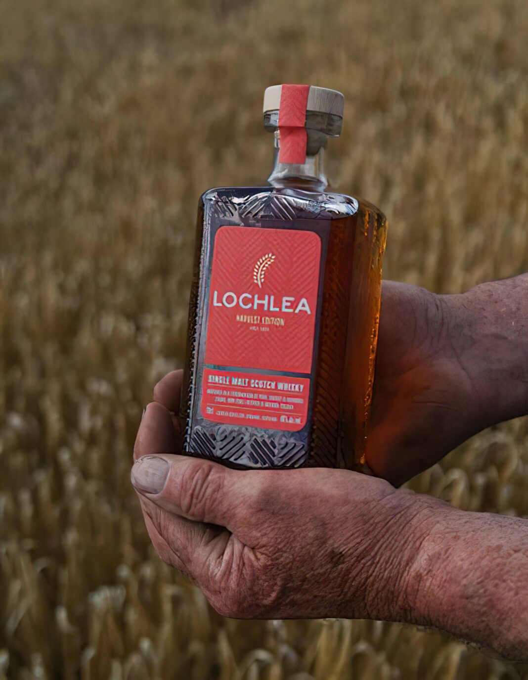 Lochlea Distillery veröffentlicht Harvest Edition - WhiskyExperts