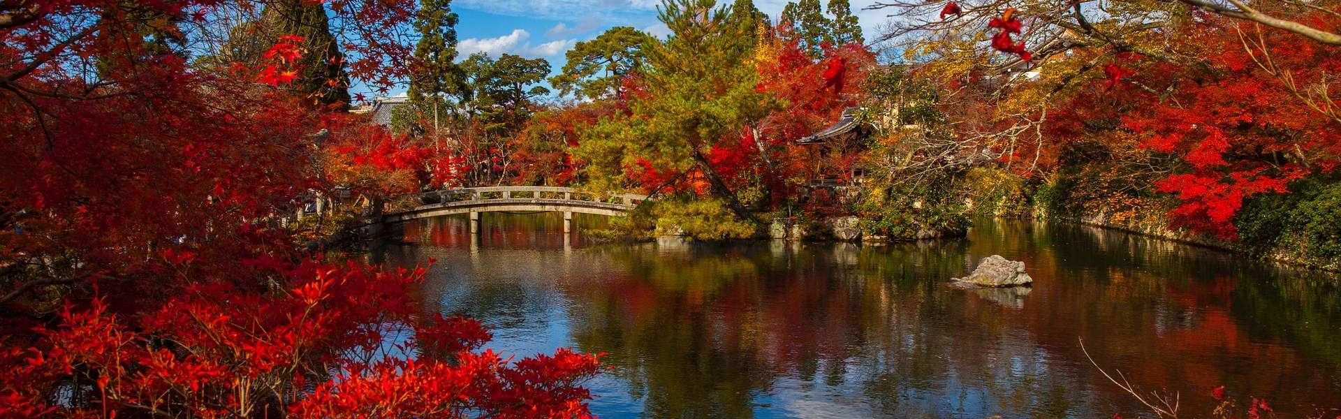 Whiskyfun: Angus verkostet Whiskys in Japan, Teil 2 - WhiskyExperts