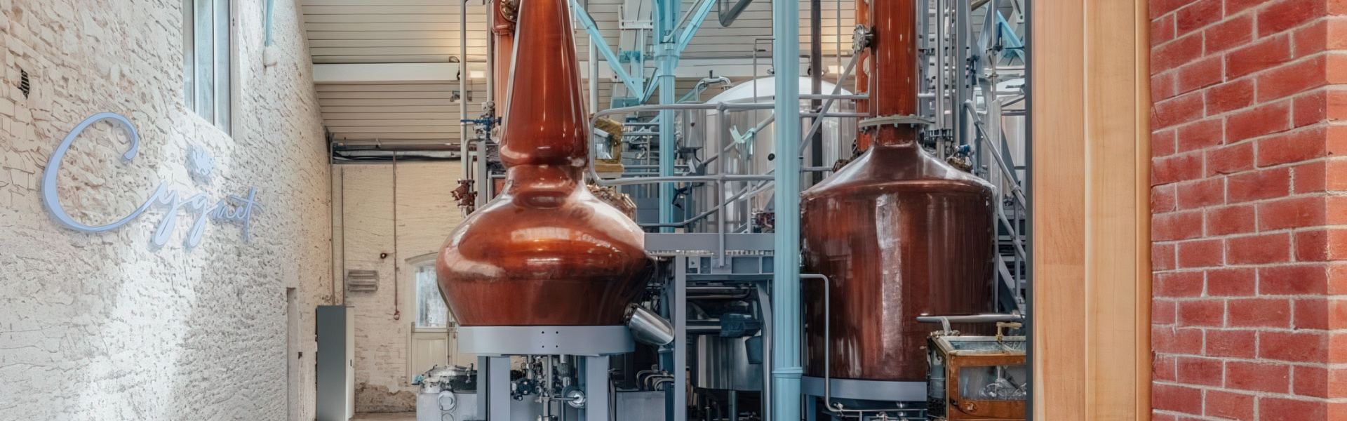 Penderyn Distillery in Swansea wird Heimat für Cygnet Gin - WhiskyExperts